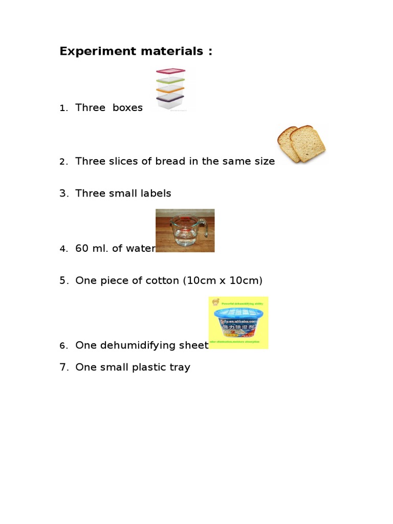 Bread Mold Growth Experiment Guide | PDF