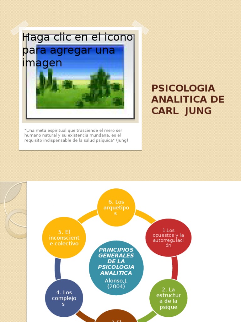 Psicologia Analitica de Jung | Descargar gratis PDF | Psicologia ...
