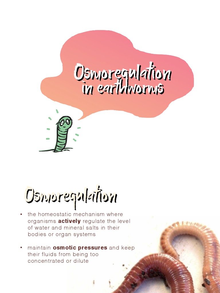 16 - Osmoregulation in Earthworms | PDF | Chemistry | Biology