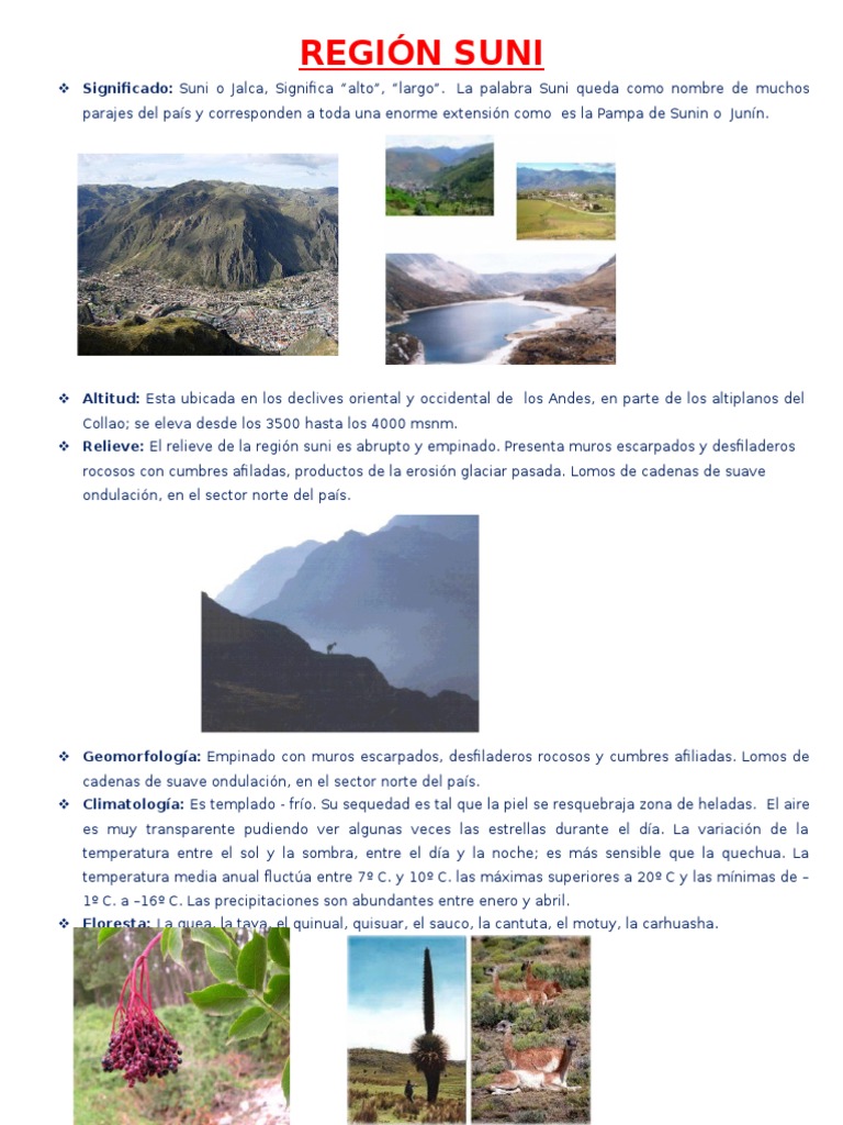 Región Suni | Ciencias de la tierra y de la vida | Geografía Física
