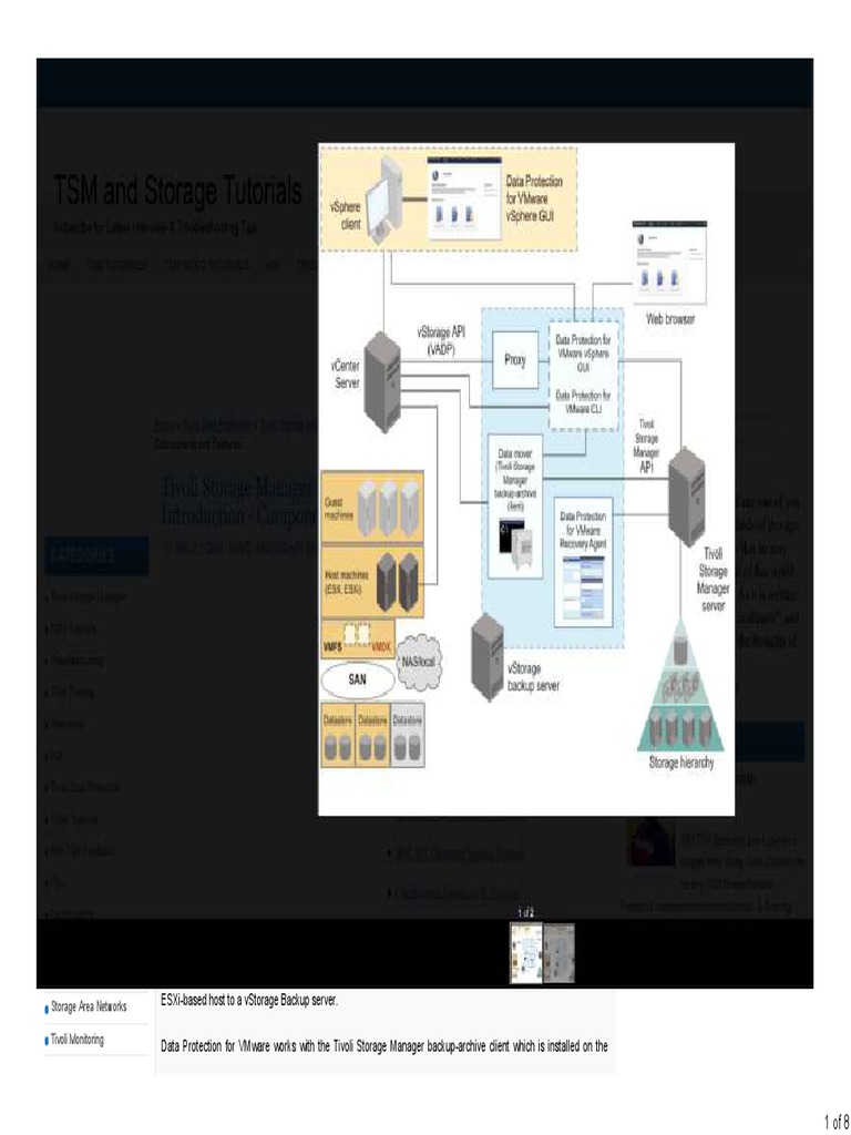Tivoli Sttesteorage Manager For Virtual Environments (TSM VE ...
