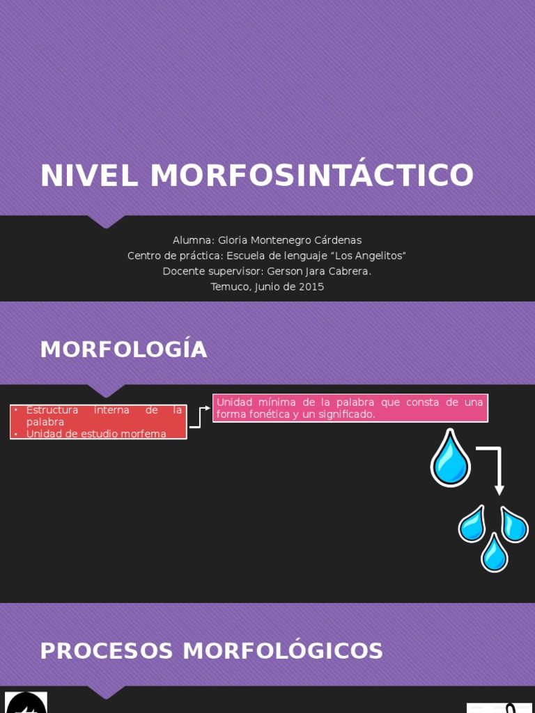 Nivel Morfosintáctico Presentación | PDF | Oración (Lingüística) | Verbo