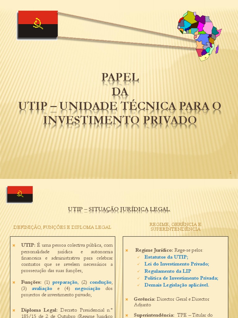 Funções e Estrutura da UTIP em Angola | PDF | Investimentos | Setor ...