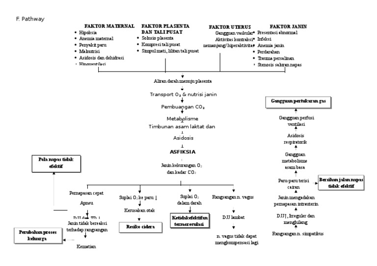 Maternal and Fetal Pathways to Asphyxia | PDF
