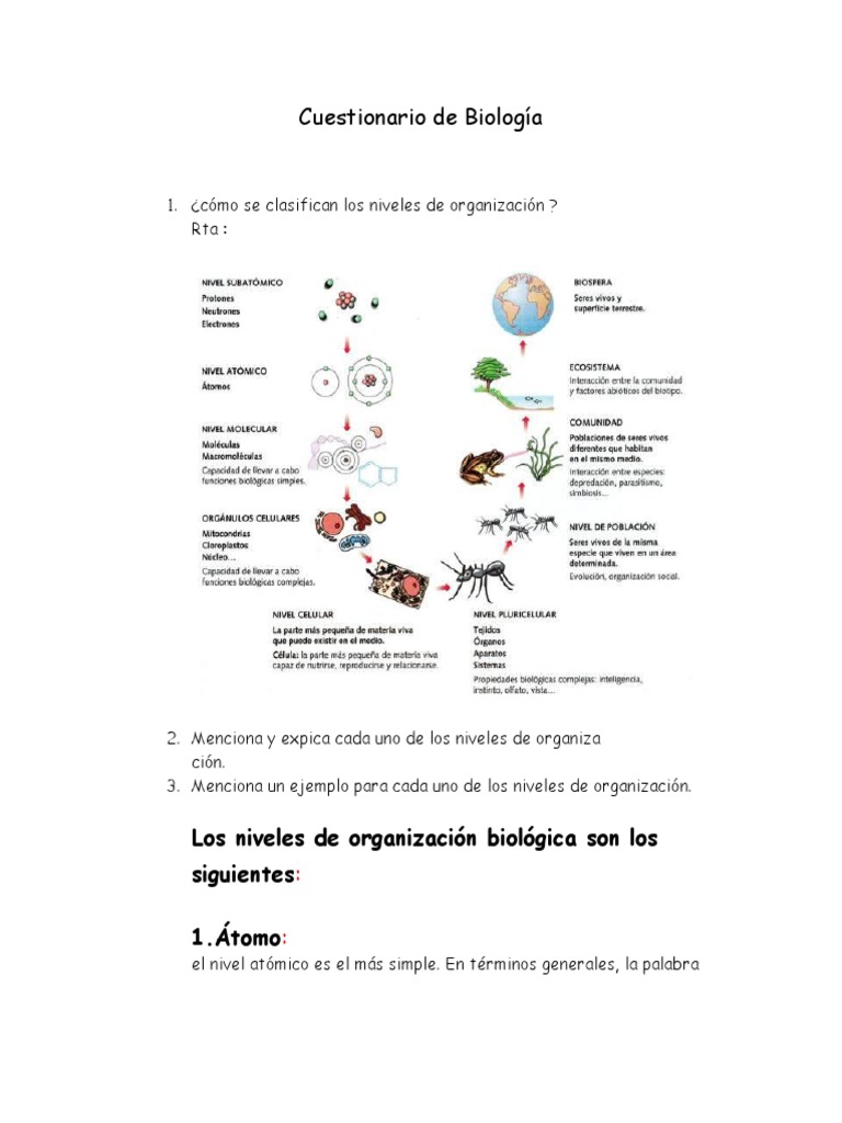 Cuestionario de Biología | PDF