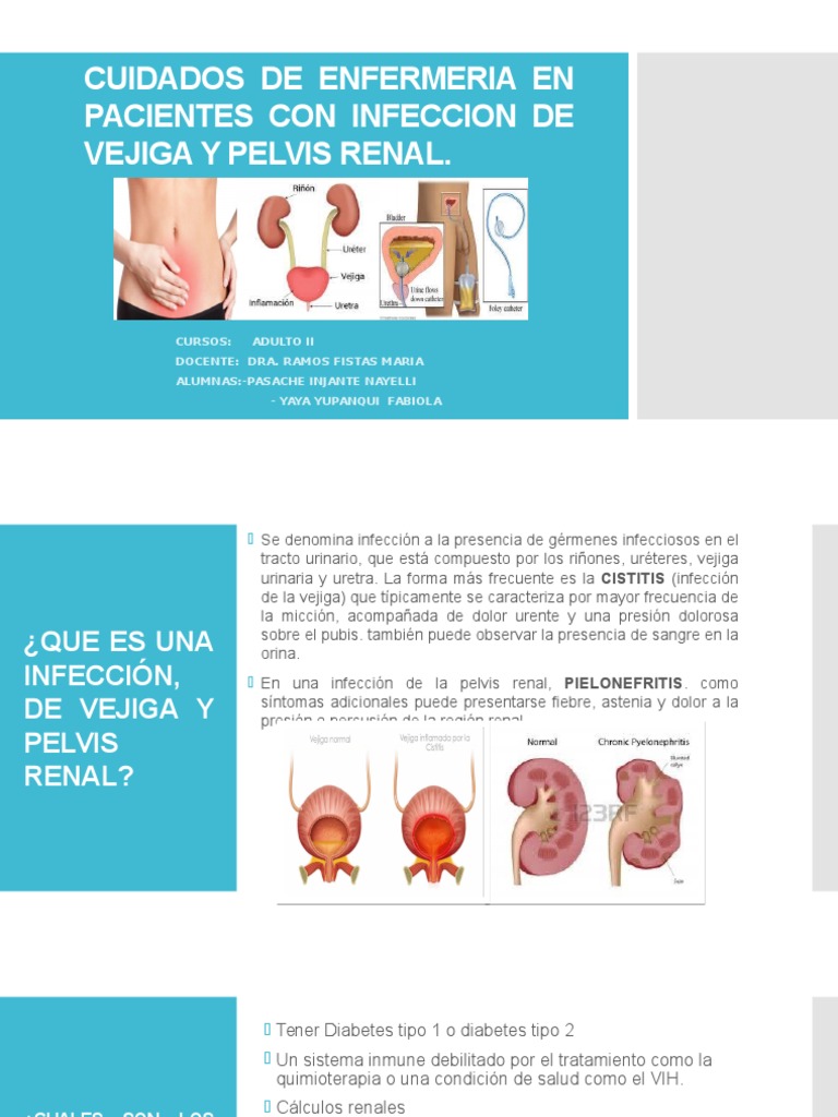 Cuidados de Enfermeria | PDF | Sistema urinario | Vejiga urinaria