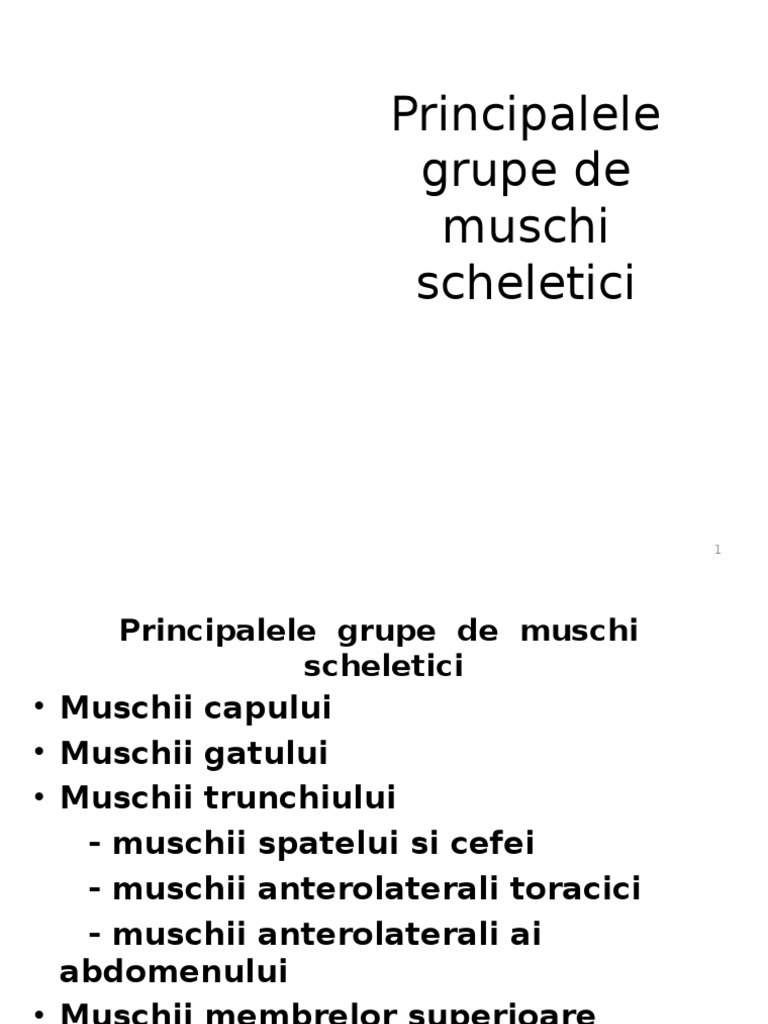 Principalele Grupe de Muschi Scheletici | PDF