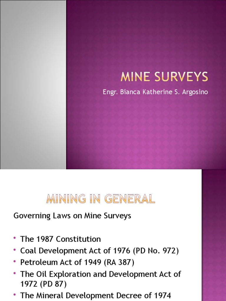Mine Surveys | PDF