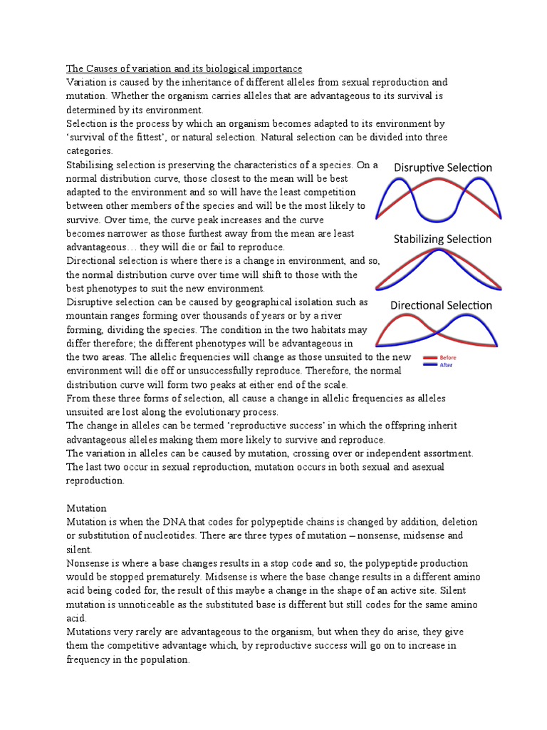 Causes and Importance of Variation | PDF | Natural Selection | Mutation
