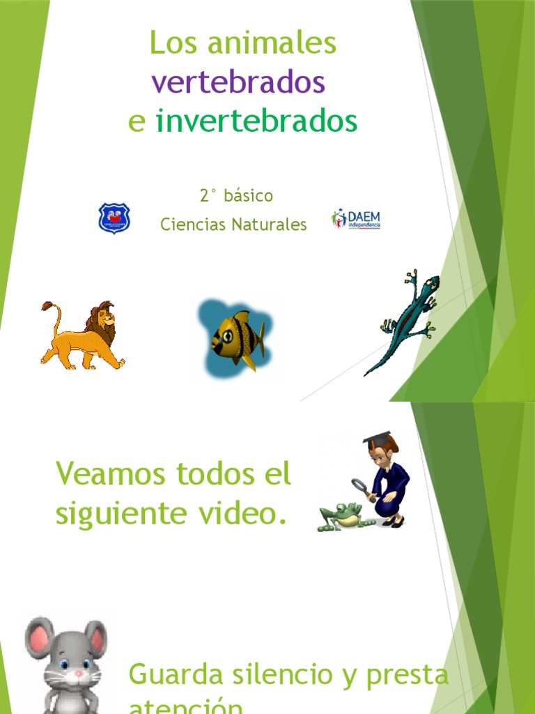 Ciencias Naturales - Vertebrados e Invertebrados - 2° BÁSICO | PDF