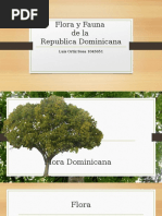Flora Nativa de República Dominicana | PDF | República Dominicana | Arboles