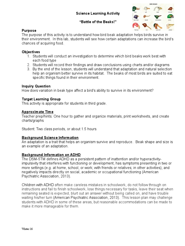 Battle of The Beaks | PDF | Adaptation | Beak