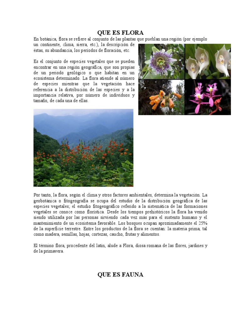 Definición y Concepto de Flora | PDF