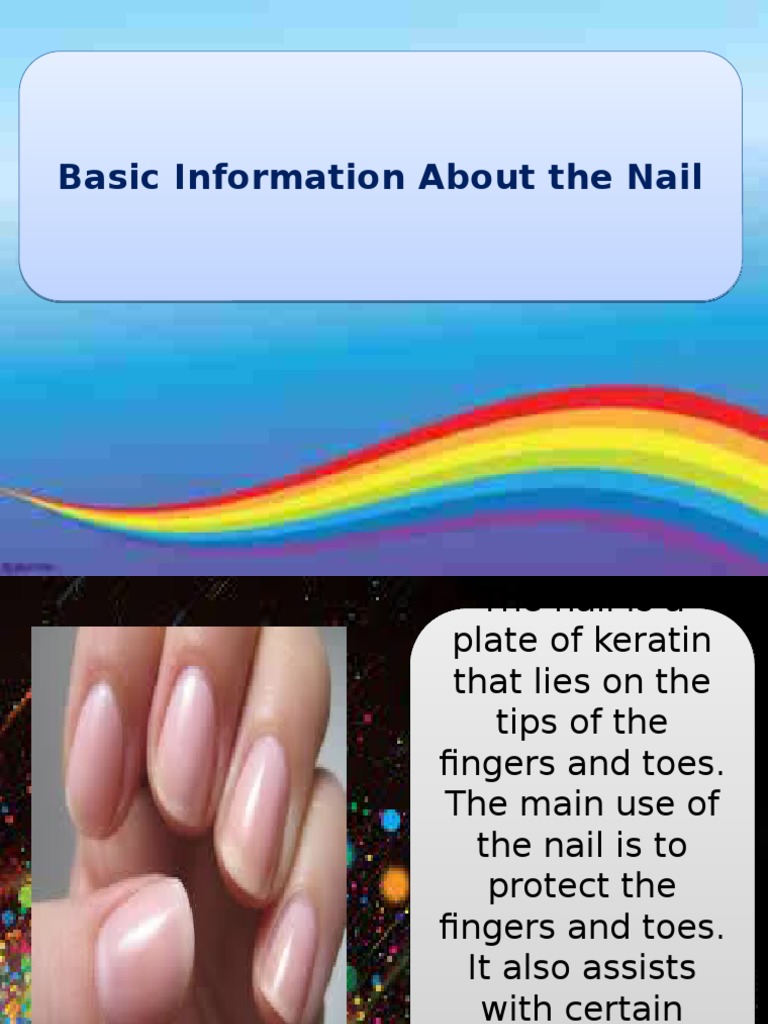 Structure of The Nail | PDF | Nail (Anatomy) | Medical Specialties