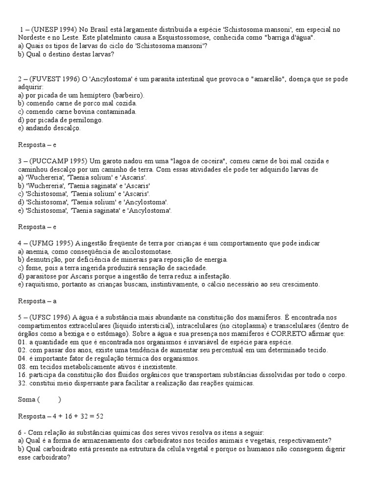 Prova Do 3 Ano | PDF