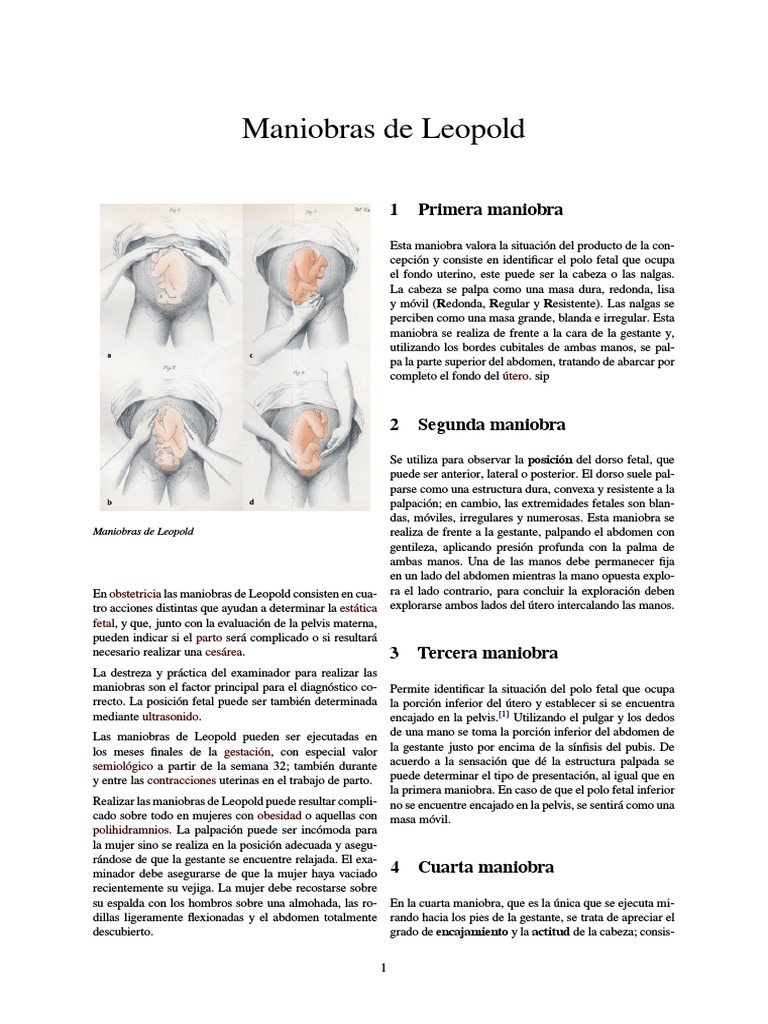 Maniobras de Leopold | PDF | Reproducción humana | Salud maternal