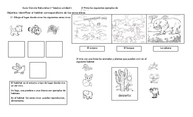Hábitats de Seres Vivos para Niños | PDF | Ciencia y matemáticas