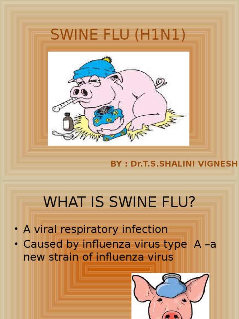 Understanding Swine Flu (H1N1) Basics | PDF