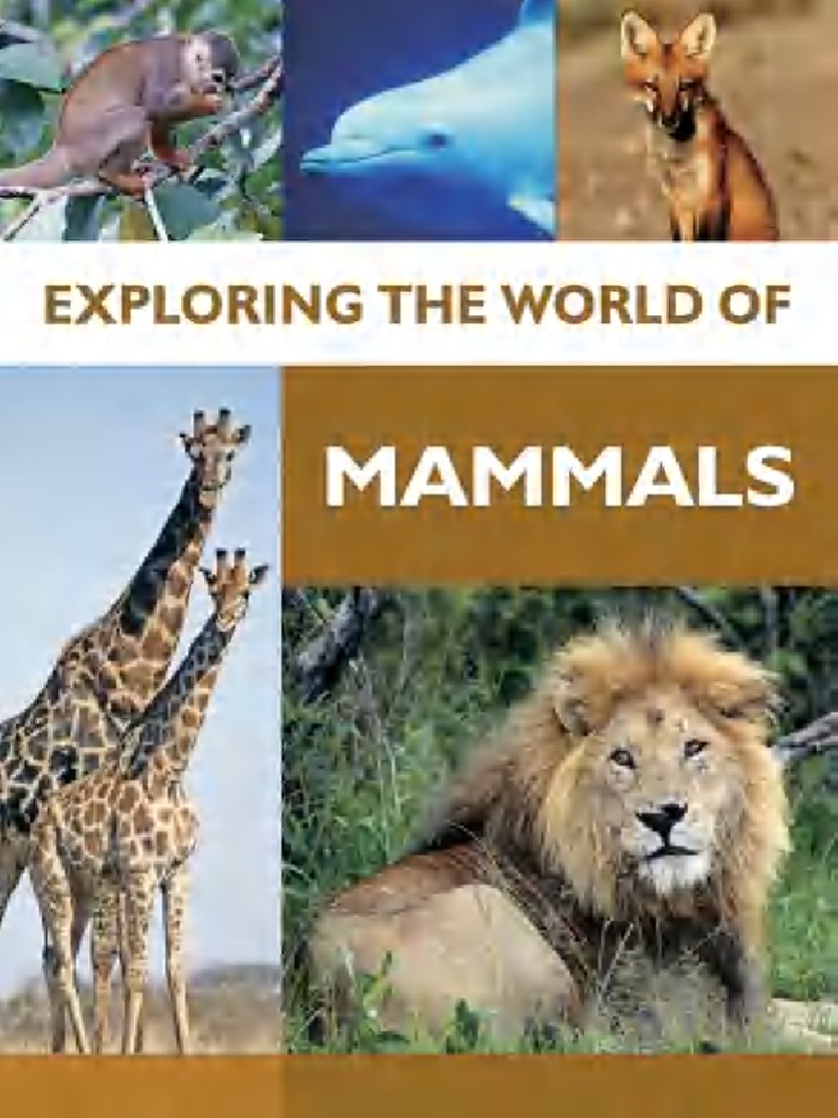 Mammals | PDF