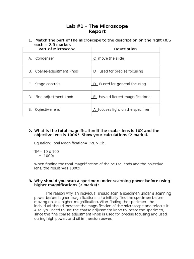 Microscope Lab Report | PDF | Atomic | Glass Engineering And Science