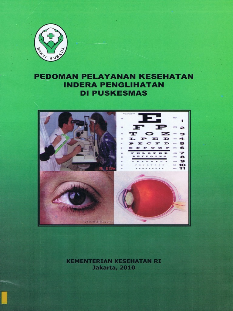 PPK Mata 2010 | PDF