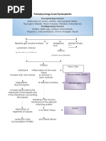 Cellulitis Pathophysiology | PDF | Inflammation | Medical Specialties