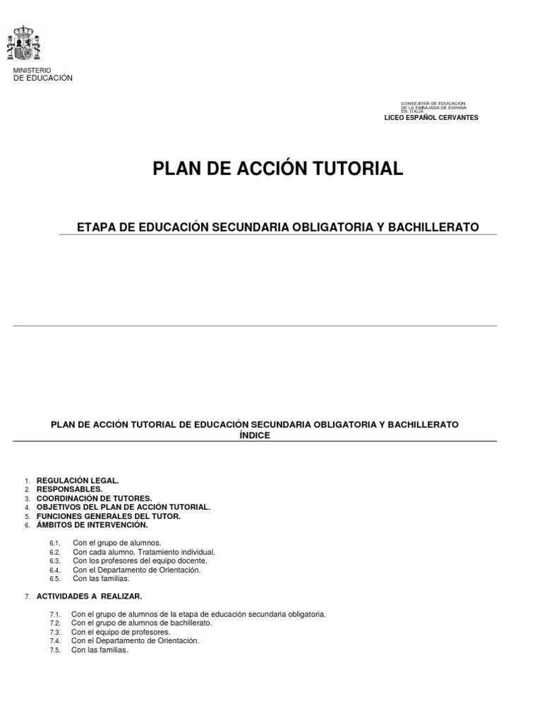 Plan Accion Tutorial | PDF | Evaluación | Educación Secundaria