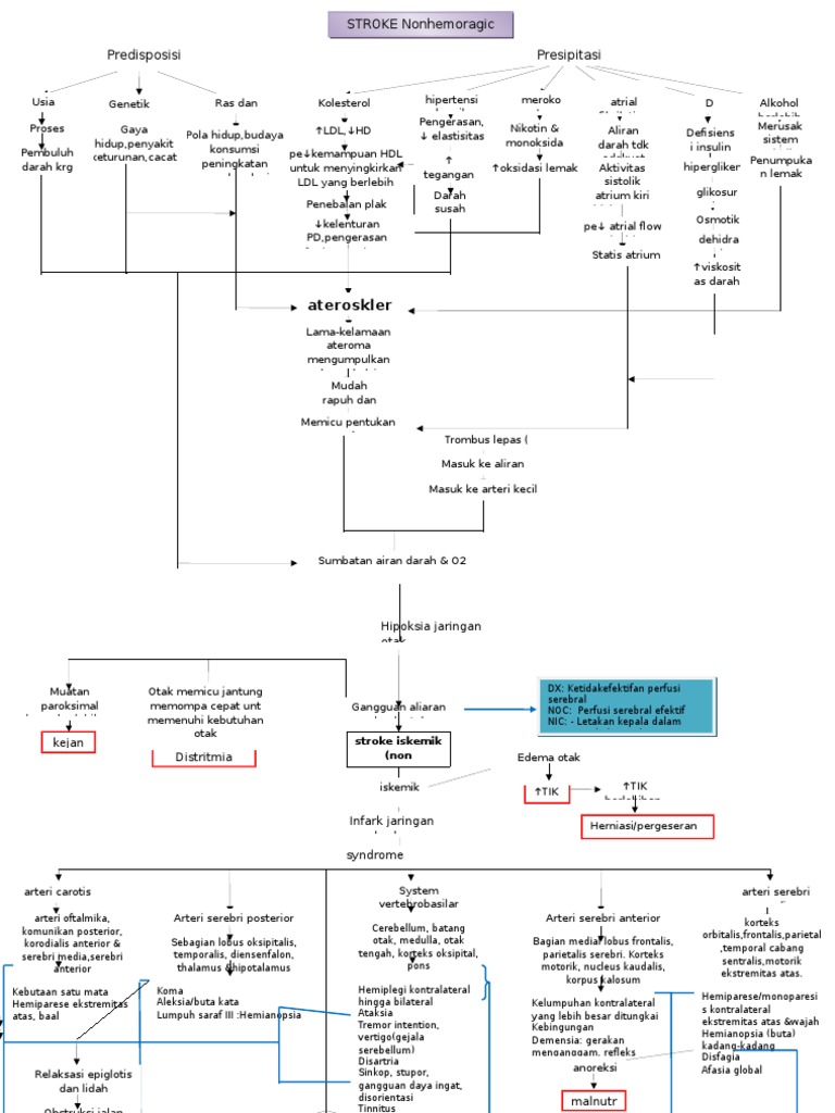 Pathway STROKE Non Hemoragic | PDF