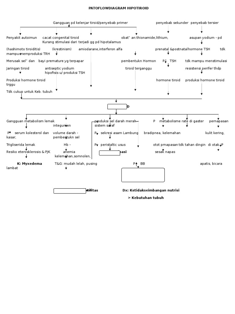 Patoflowdiagram Hipotiroid | PDF