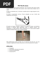 Pie Talo Valgo | Pie | Enfermedades y trastornos