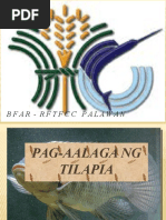 Pagbababuyan | PDF