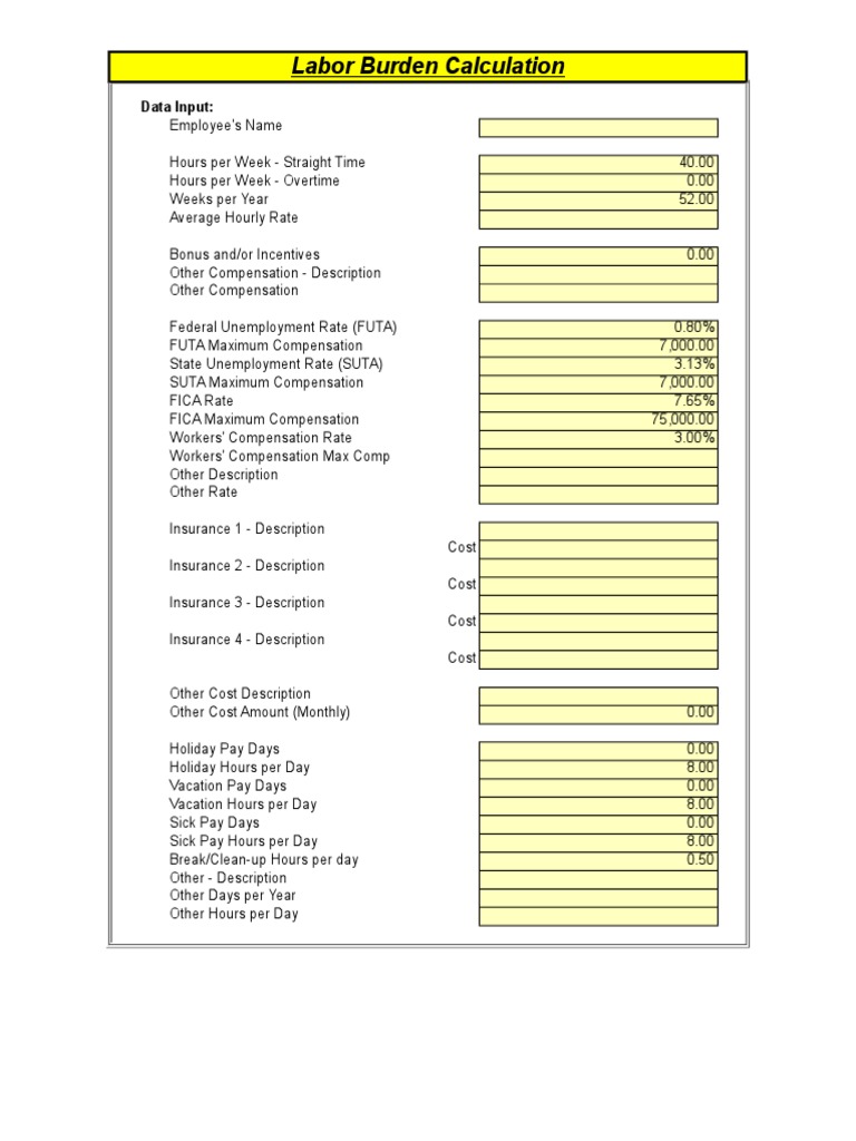 Labor Burden Calculation: Data Input | PDF