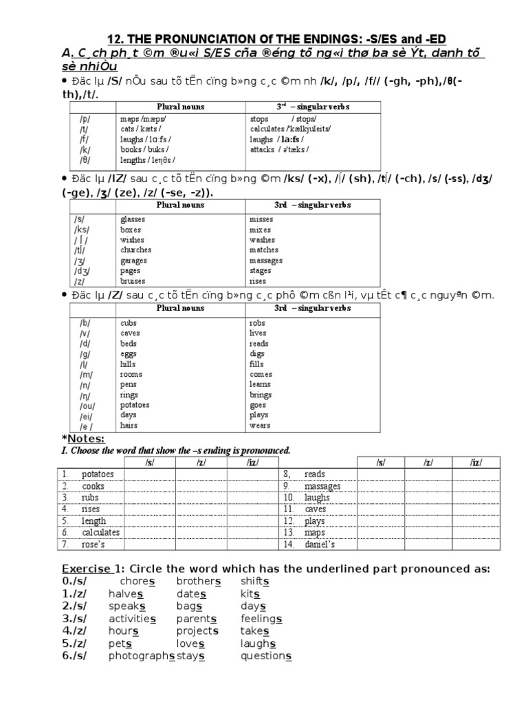 Word Forms English 8 | PDF | Grammatical Number | Rules