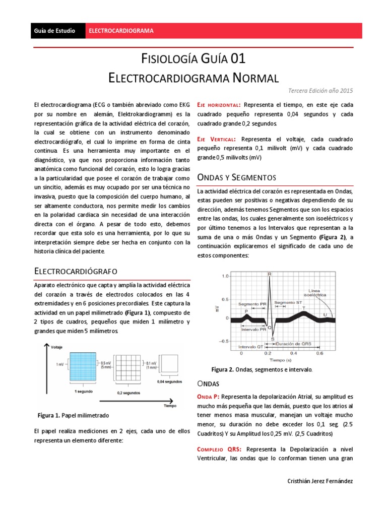 Electrocardiograma Guia 01 - Electrocardiograma Normal | PDF | Electrocardiografia | Sistema ...