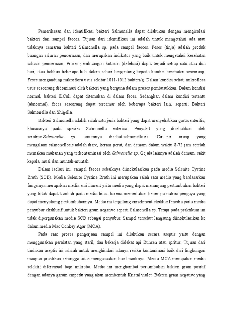 Uji Identifikasi Salmonella | PDF | Teknologi & Rekayasa