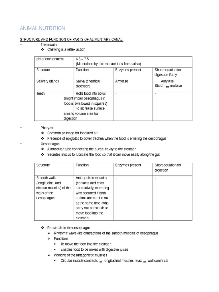 Animal Nutrition | PDF | Digestion | Stomach