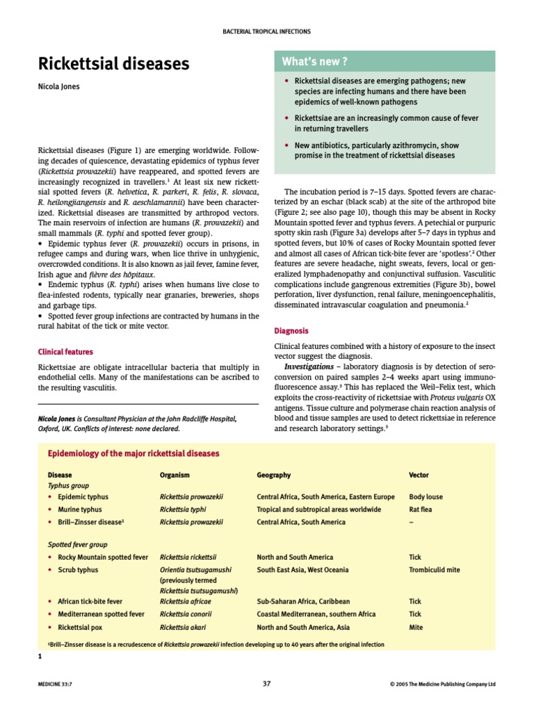 Rickettsial Diseases | Infection | Public Health