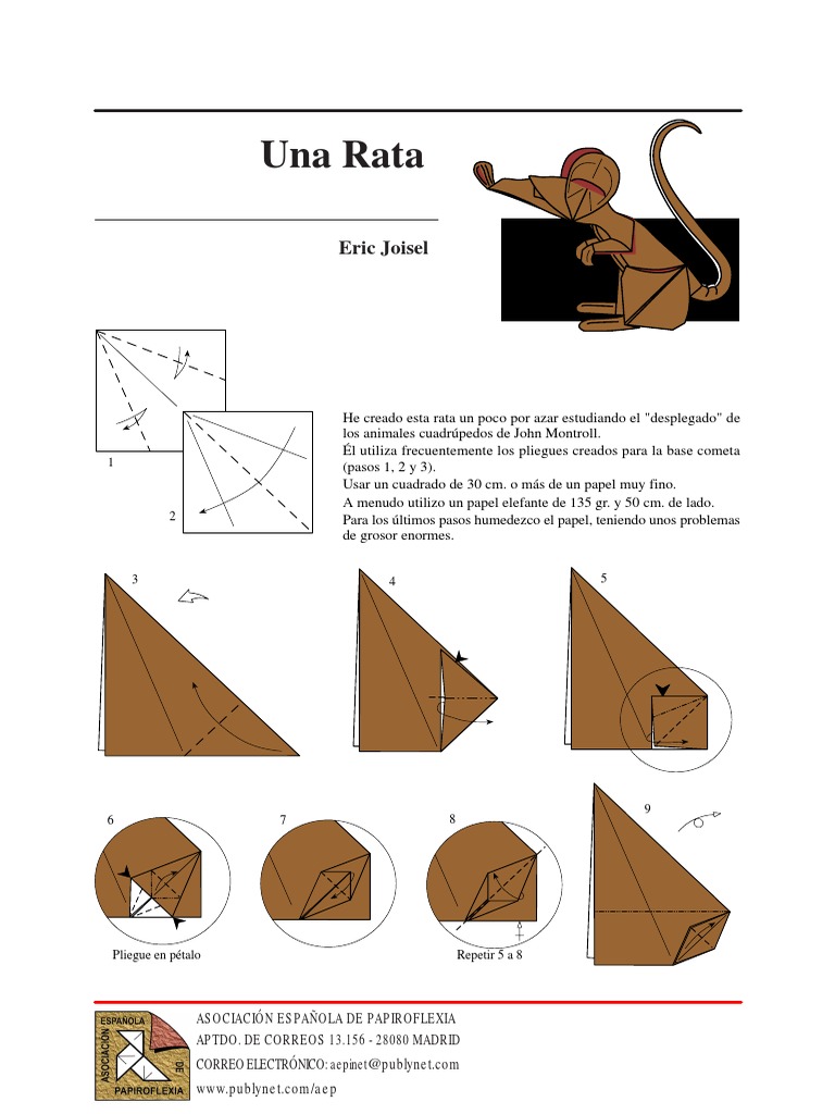 Rat Joisel | PDF | Origami | Ocio