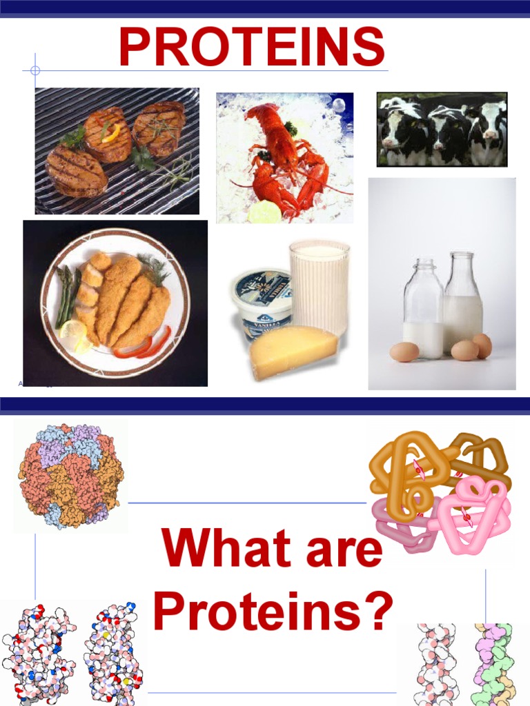 Proteins: AP Biology | PDF | Amino Acid | Peptide