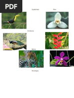 Ejemplos de Los Signos Naturales | PDF