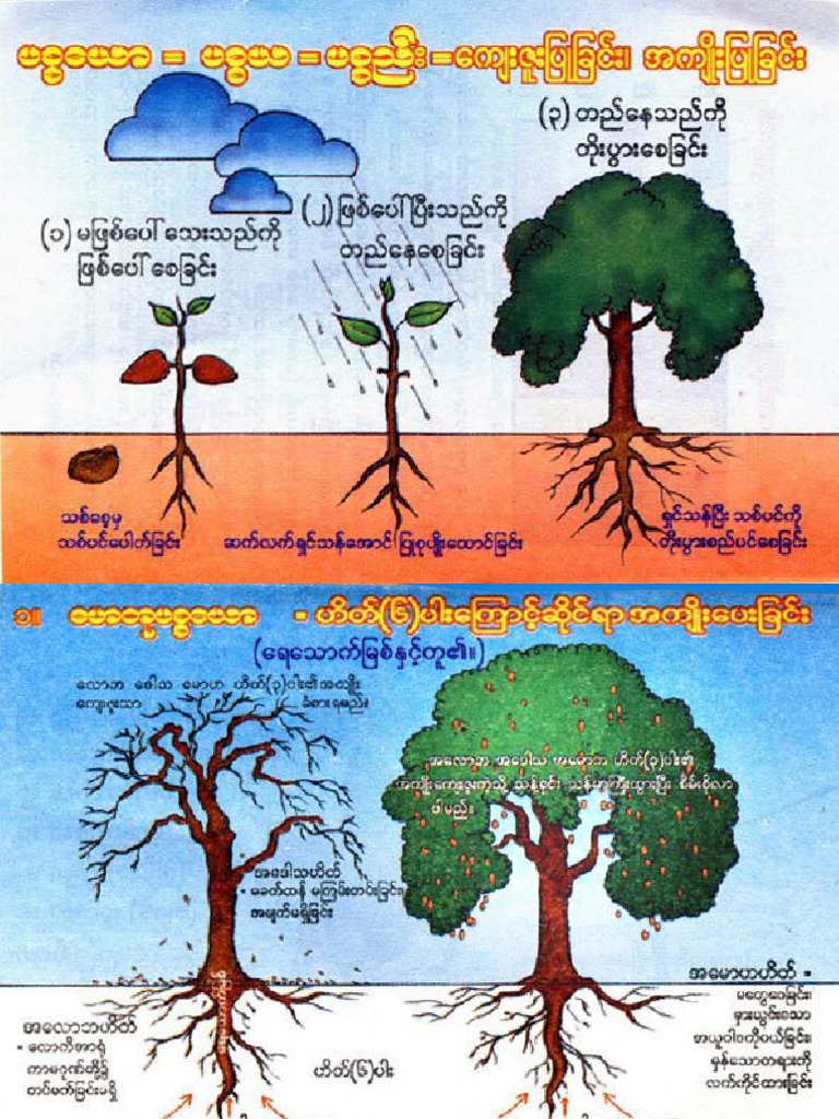 PaHtan in Picture PDF | PDF