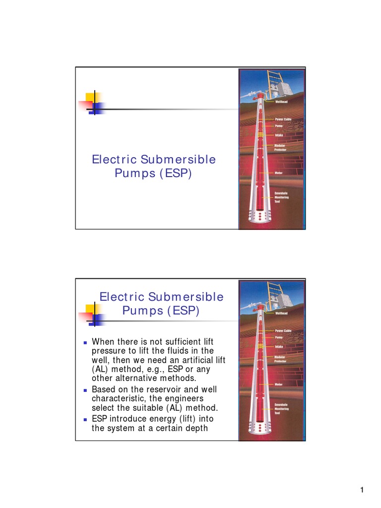 Electric Submersible Pumps (ESP) PDF | Download Free PDF | Hydraulic ...