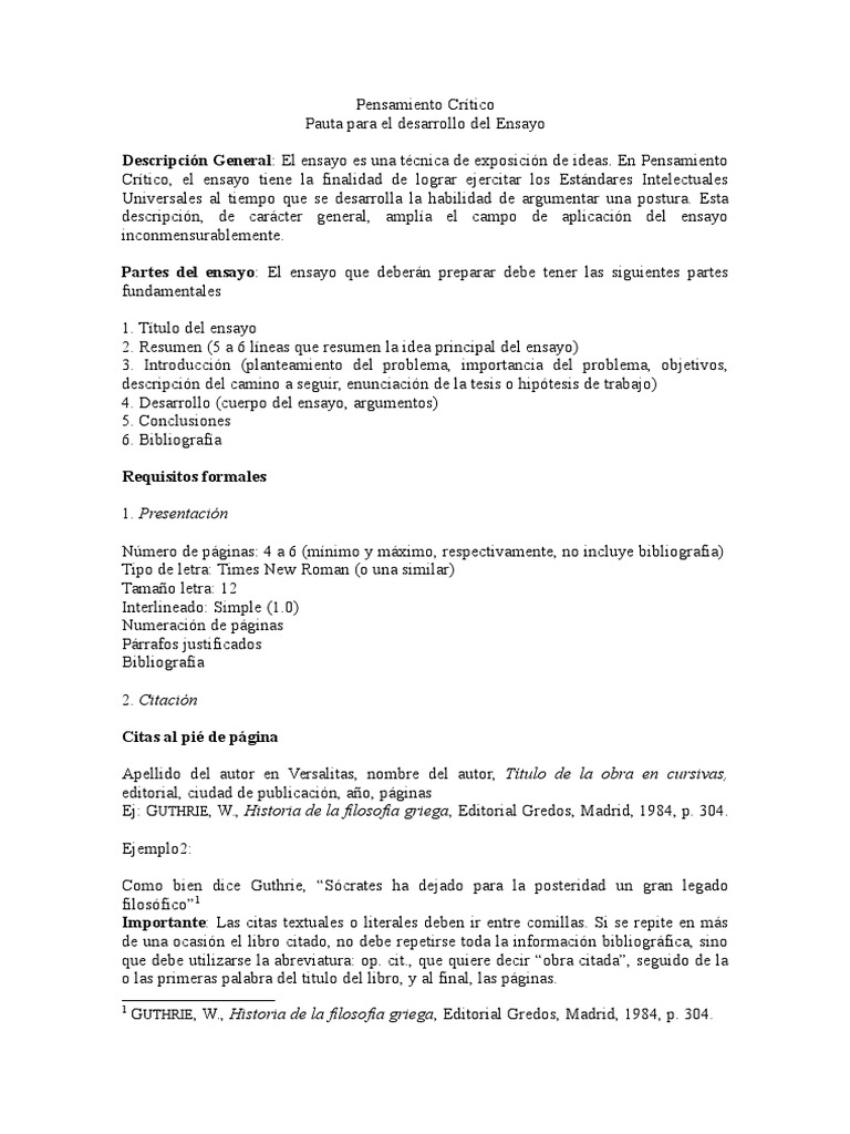 Pauta Ensayo | PDF | Ensayos | Bibliografía