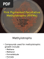 Plant Identification with Dichotomous Key | PDF | Taxa | Botany