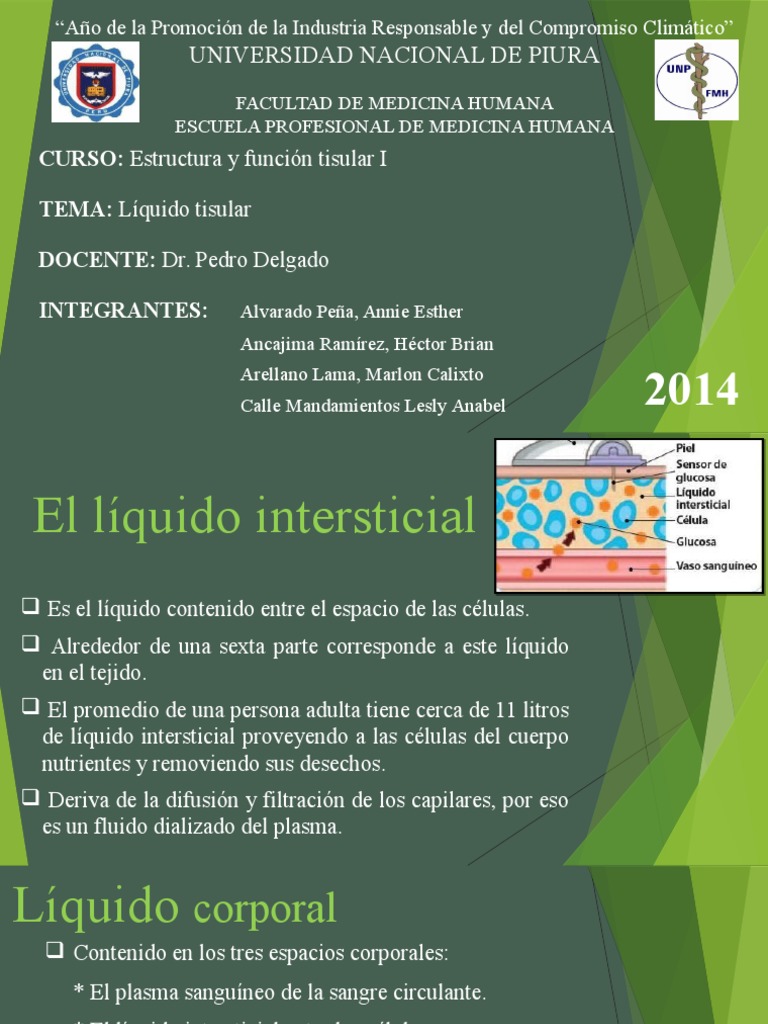 Líquido Tisular | Edema | Sistema linfático