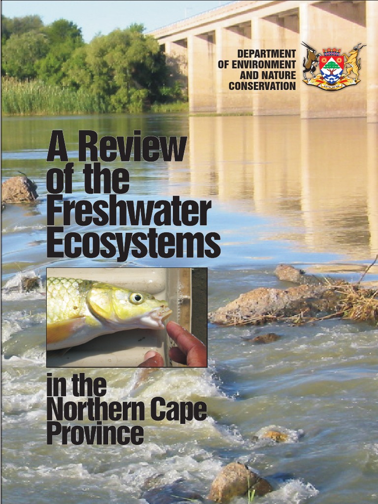A Review of Freshwater Ecosystems in The Northern Cape | PDF | Wetland ...
