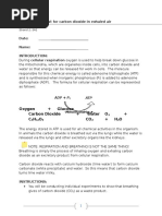 Lime Water Experiment | PDF