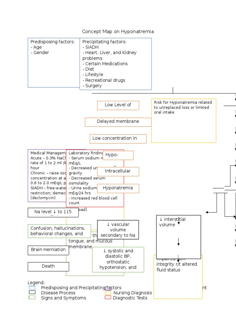 Concept Map On Hyponatremia | PDF | Diseases And Disorders | Rtt