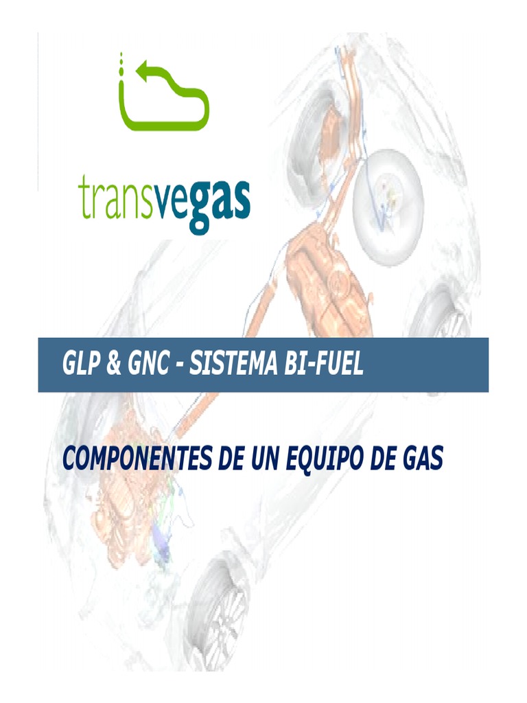 Componentes Que Forman Parte de Un Equipo de Gas | PDF | Combustibles ...