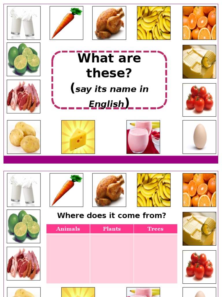 What Are These? : Say Its Name in English | PDF